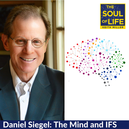 Daniel Siegel - The Mind and IFS - Soul of Life Show